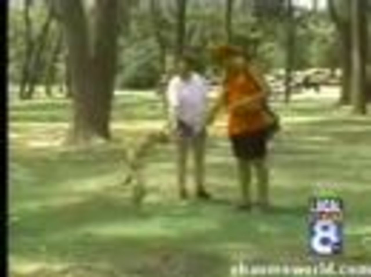 Den tvåbenta hunden Faith.. Tar sig fram ändå. | Feber / Djur