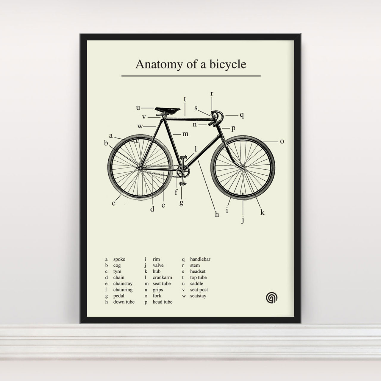 En cykels anatomi. | Tjock / Hemmet