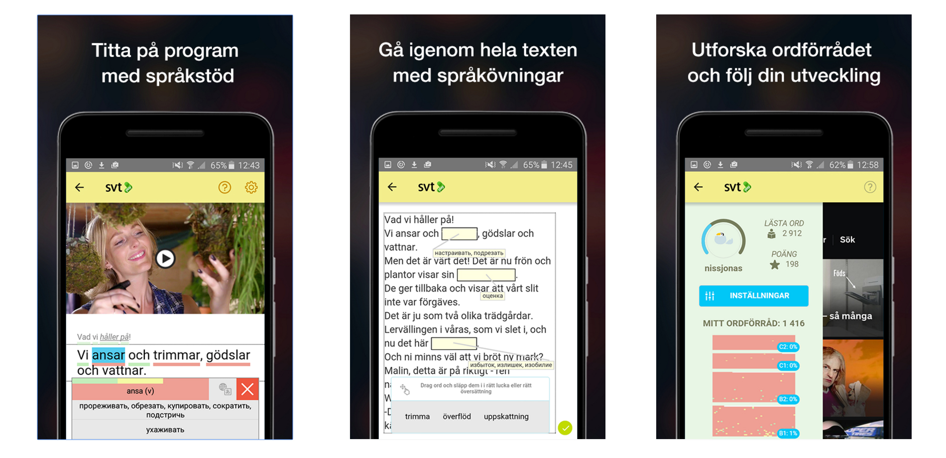 SVT släpper alternativ Play-app med stöd för flera språk. Appen ...