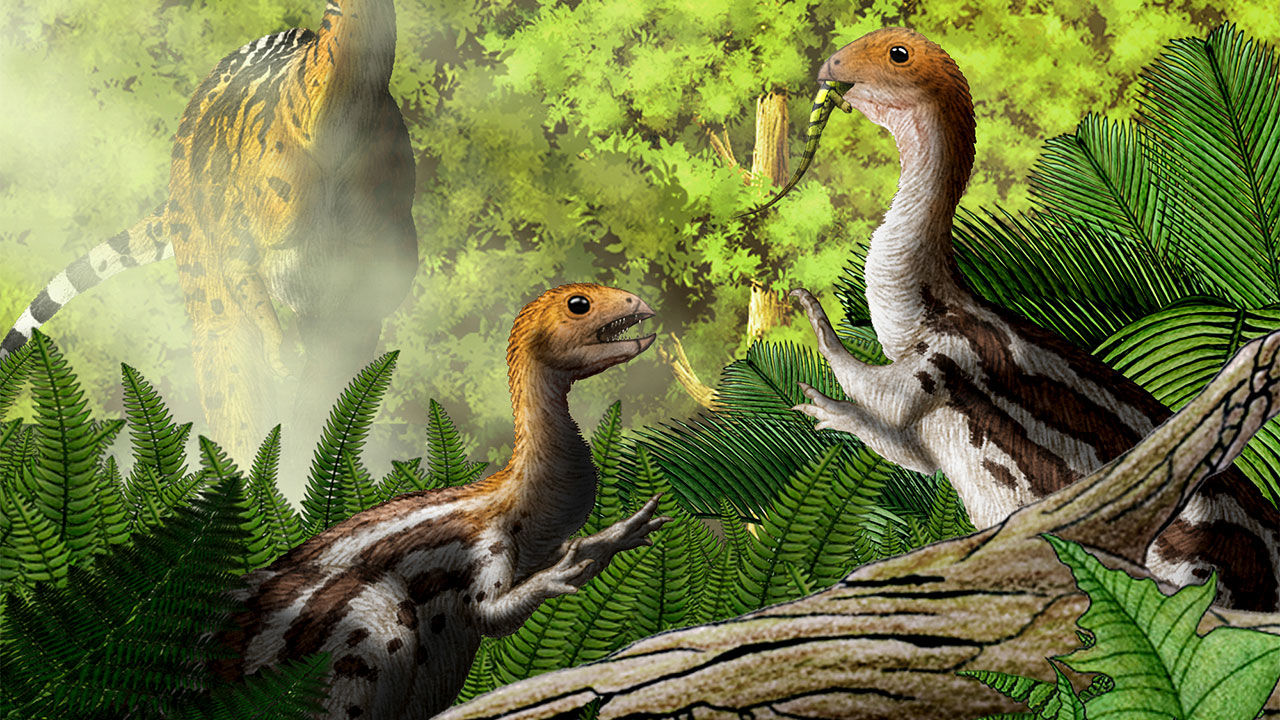 Limusaurus var en dinosaurie som blev tandlös som vuxen. Kanske därför ...