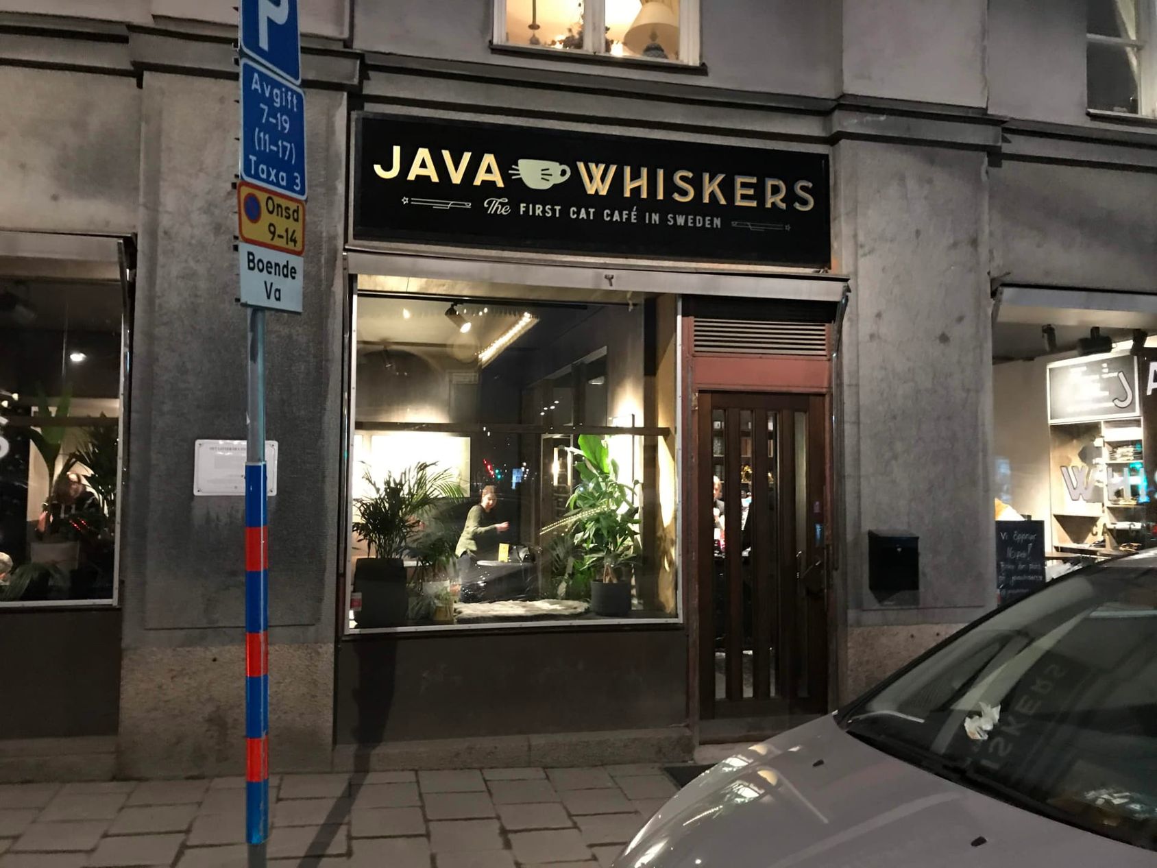 Sverige har fått sitt första kattcafé. Java Whiskers öppnade i ...