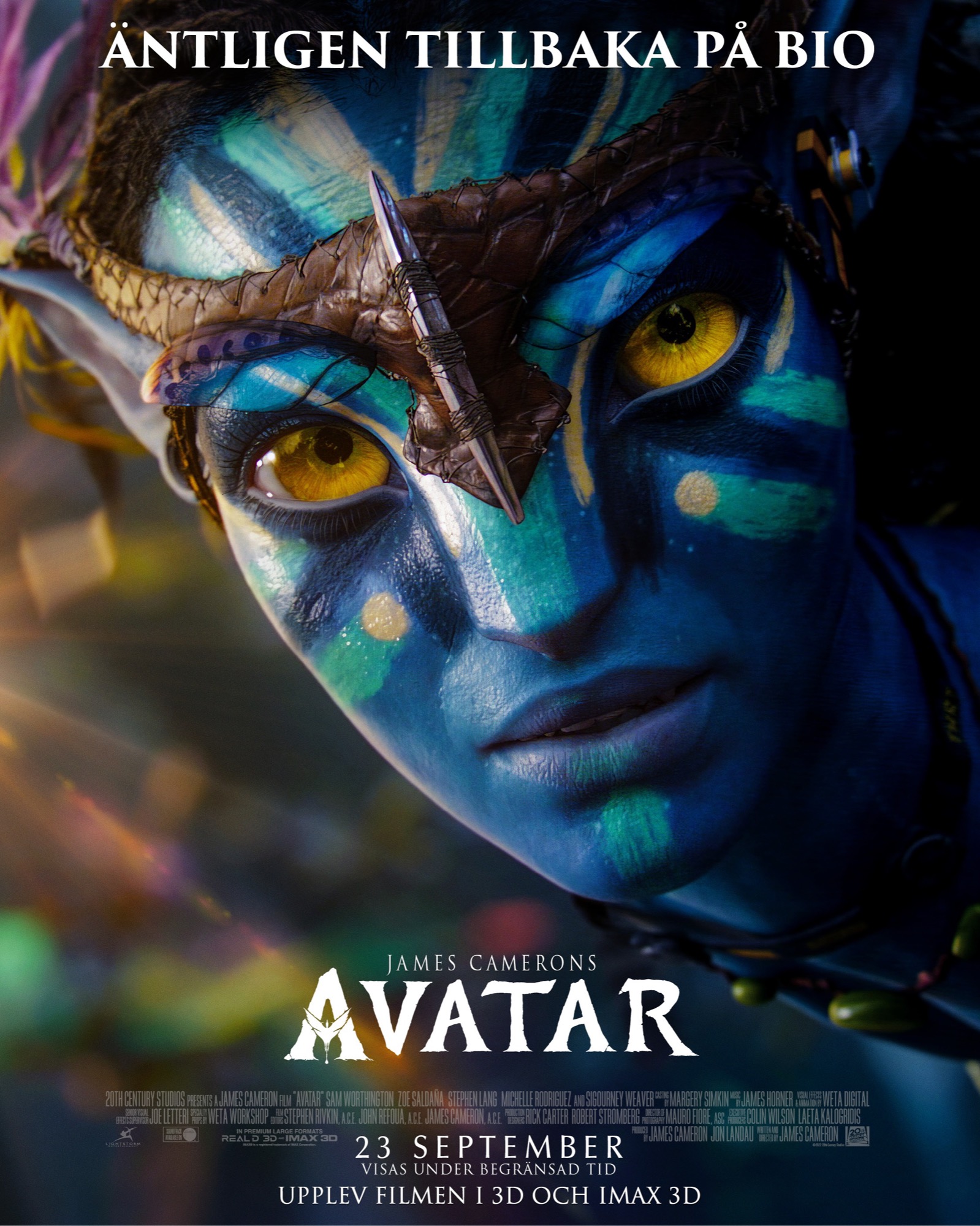 Avatar går upp på bio - igen. 3D och IMAX 3D. | Feber / Film & TV