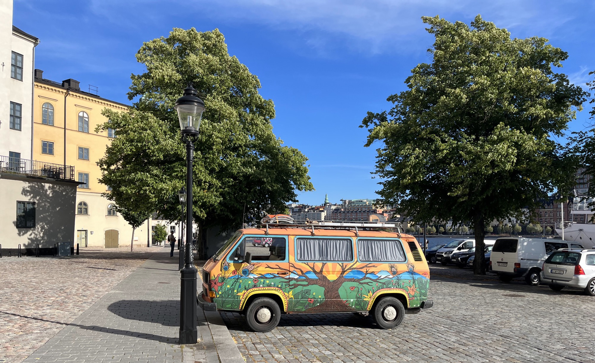 Stockholm vill ha olika avgifter för olika typer av bilar. Elbils-ägare ...