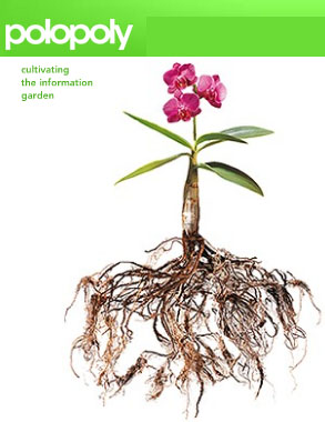 Polopoly köps av brittiska ATEX. Going international. | Feber / Webb