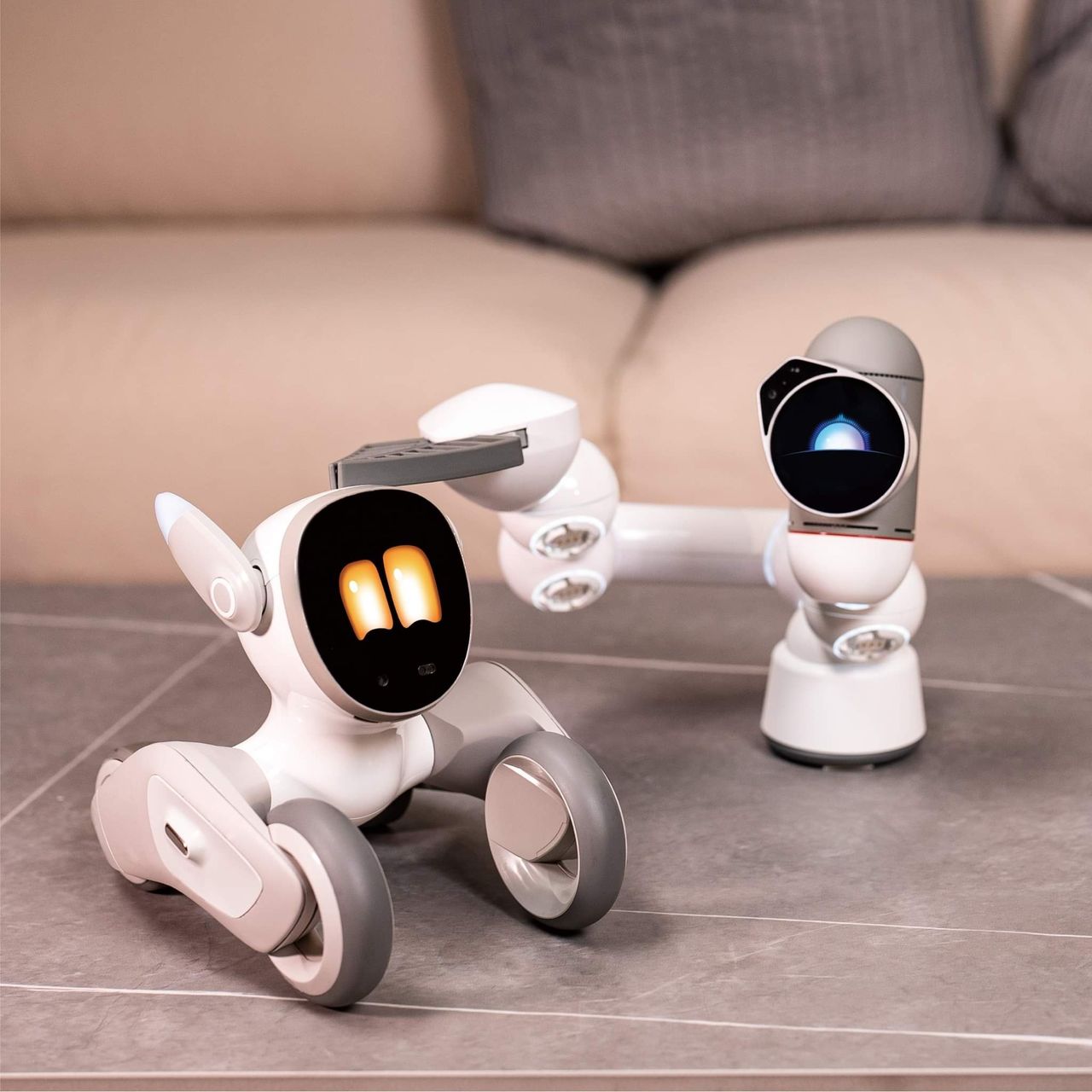 Loona är en liten husdjursrobot. Tänkt att användas till lek och nöje ...