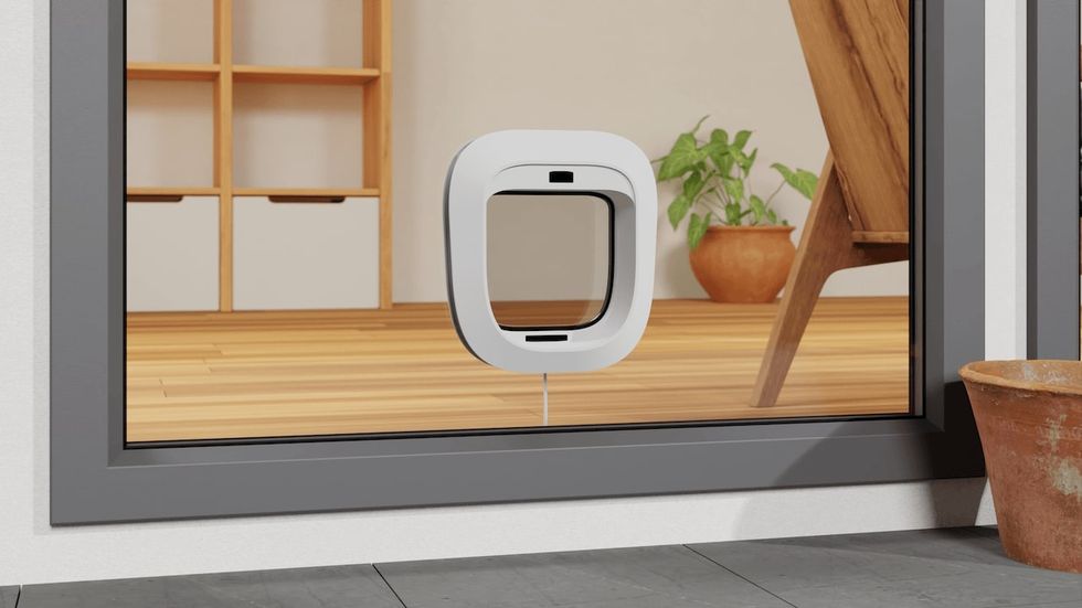 CES 2024: Flappie är en smart kattlucka. Ser till att inte katten tar ...