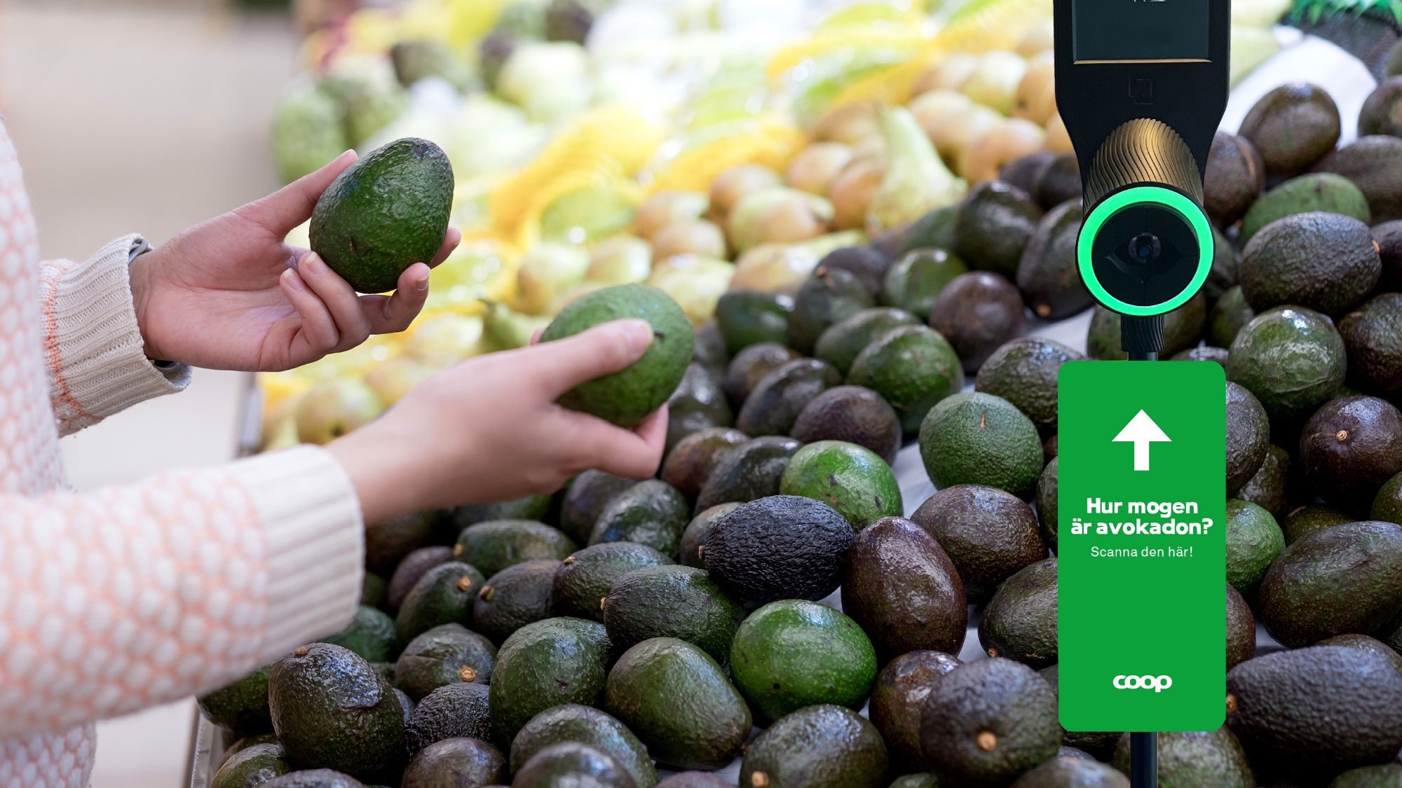 Se om avokadon är mogen med ny scanner. I vissa Coop-butiker. | Feber ...
