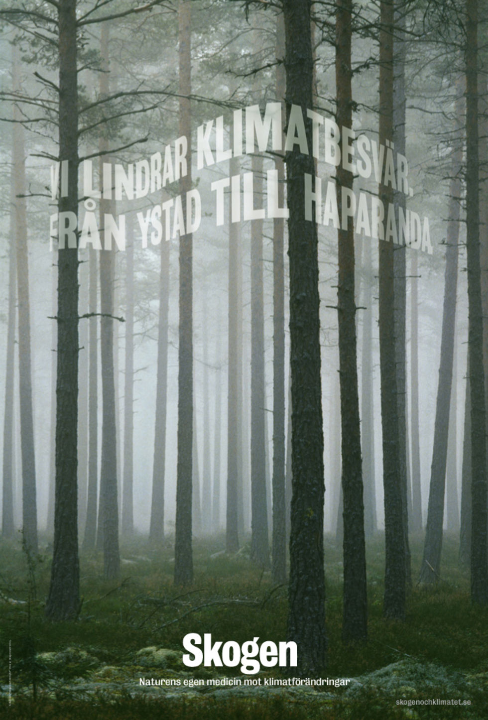 Välkommen till skogen. Naturens egen medicin mot klimatförändringar ...