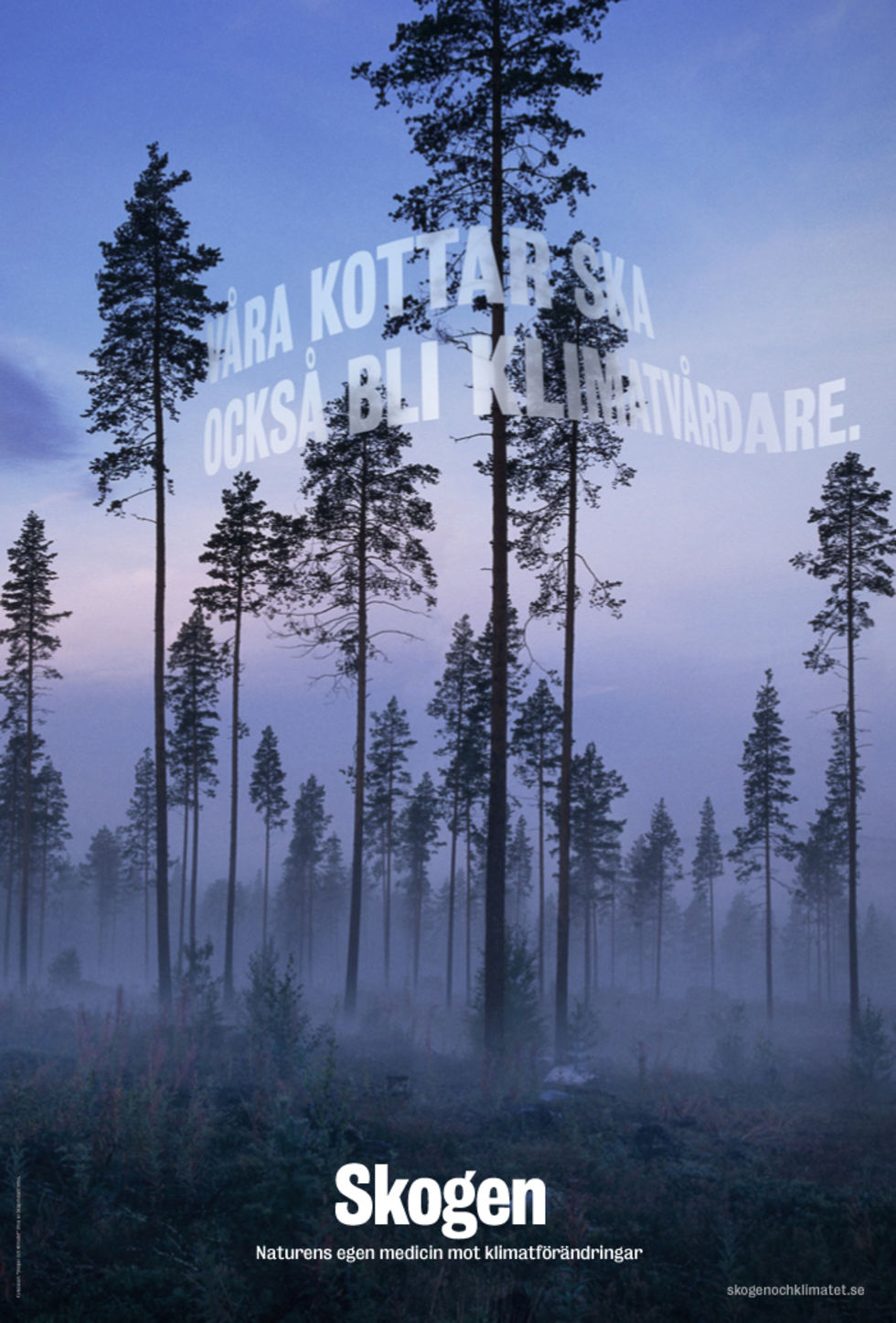 Välkommen till skogen. Naturens egen medicin mot klimatförändringar ...