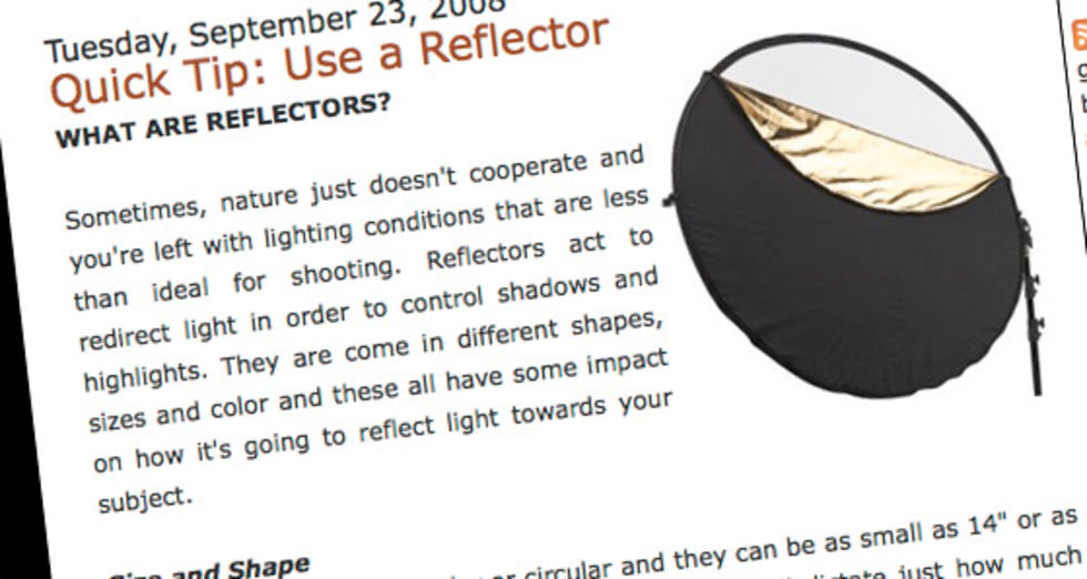 Reflektera mera! Lite om reflektorskärmar. | Feber / Foto