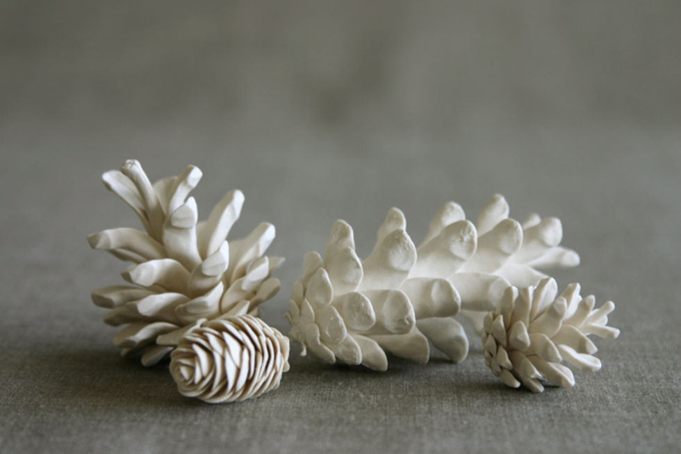 coe & waito. Alissa Coe och Carly Waito. | Feber / Hem